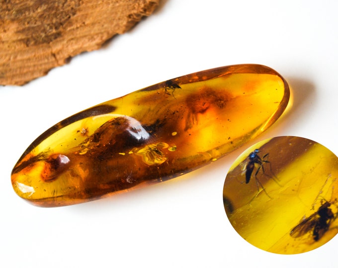 Large Amber Stone With Insect Inclusioncollector's - Etsy