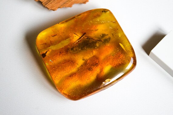 Large Natural Ambercollectors Specimen Amber for Display - Etsy