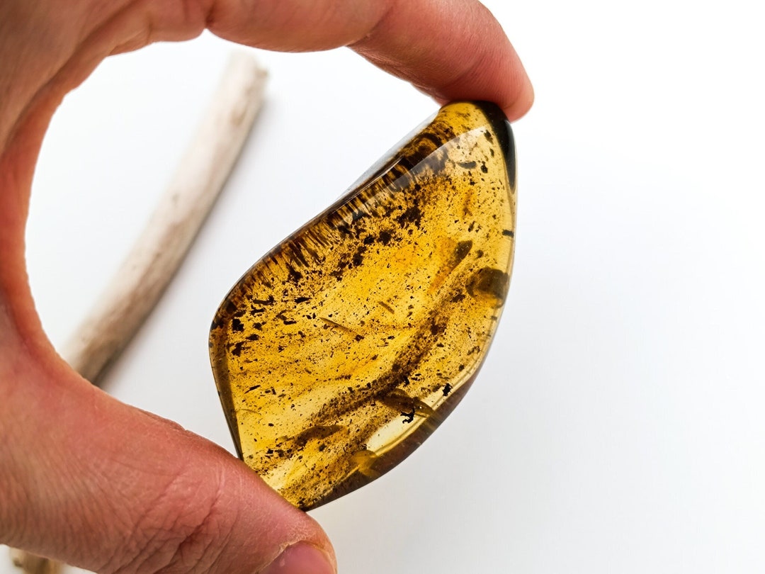 Large Amber Stone Collectors Specimen, Amber for Display, Large Palm ...