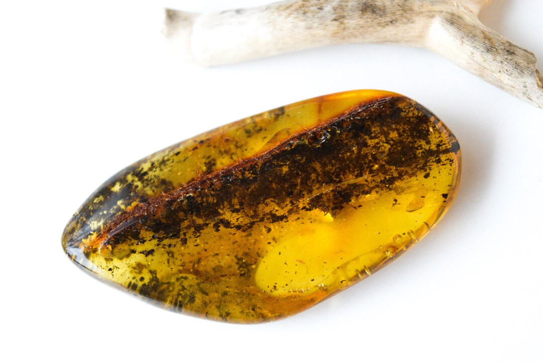 Large Amber Stone Collectors Specimen Amber for Display - Etsy