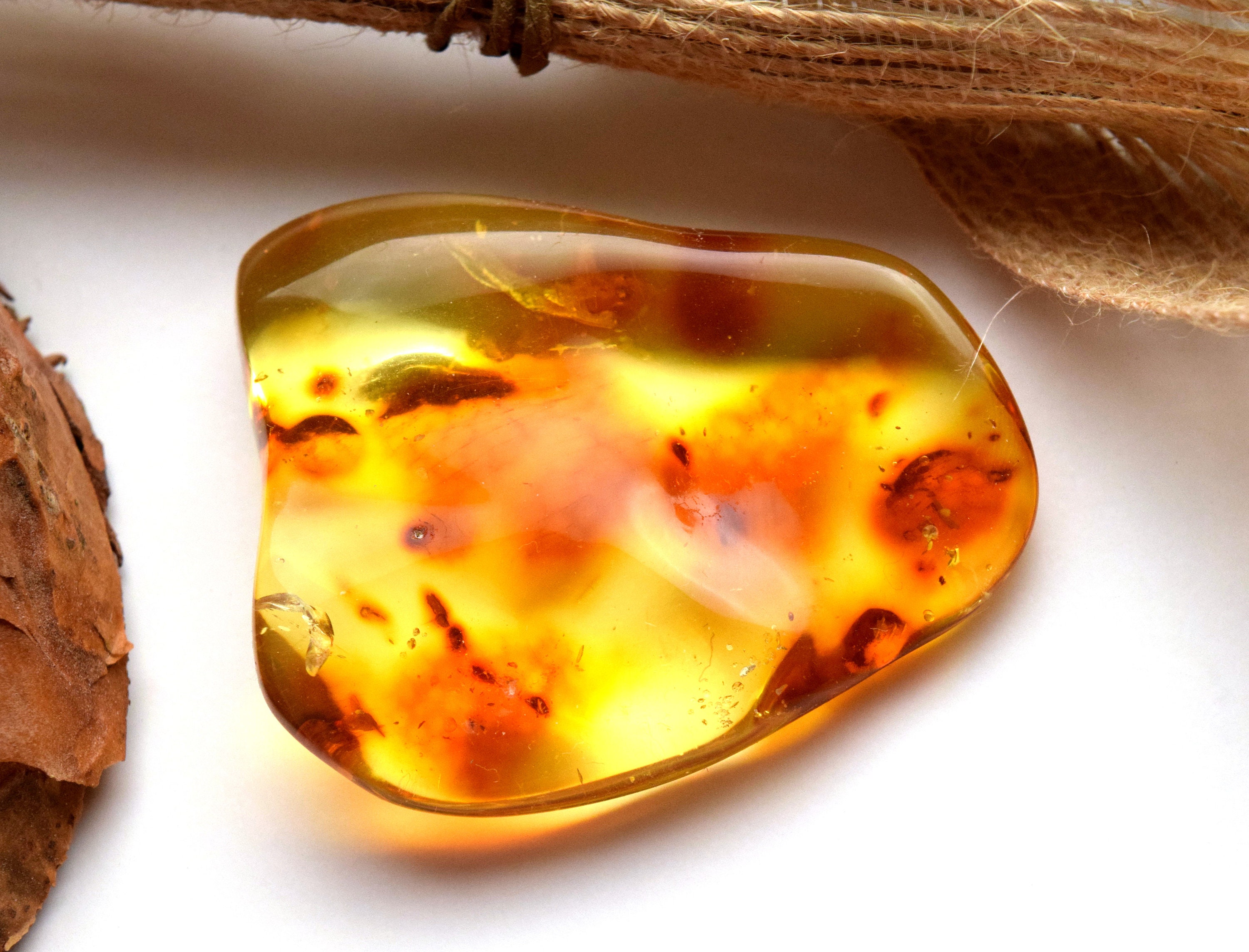 Large Natural AmberCollectors Specimen Amber for Display | Etsy