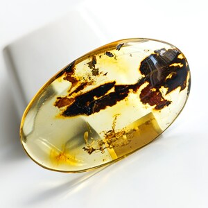 Large Amber Stone, Collectors Specimen, Amber Stone for Display ...