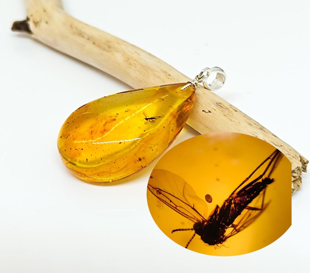 Genuine Amber Pendant With Insect Inclusion, Natural Amber Pendant With ...