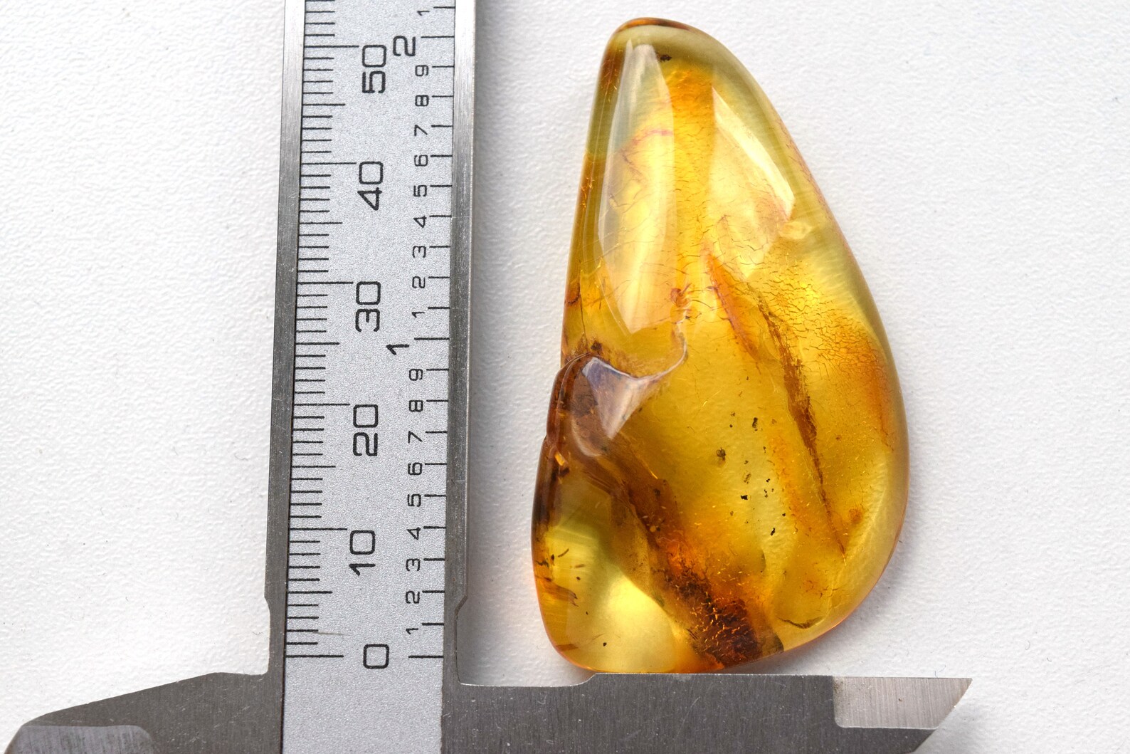 Large Amber Stone Collectors Specimen Amber stone for | Etsy