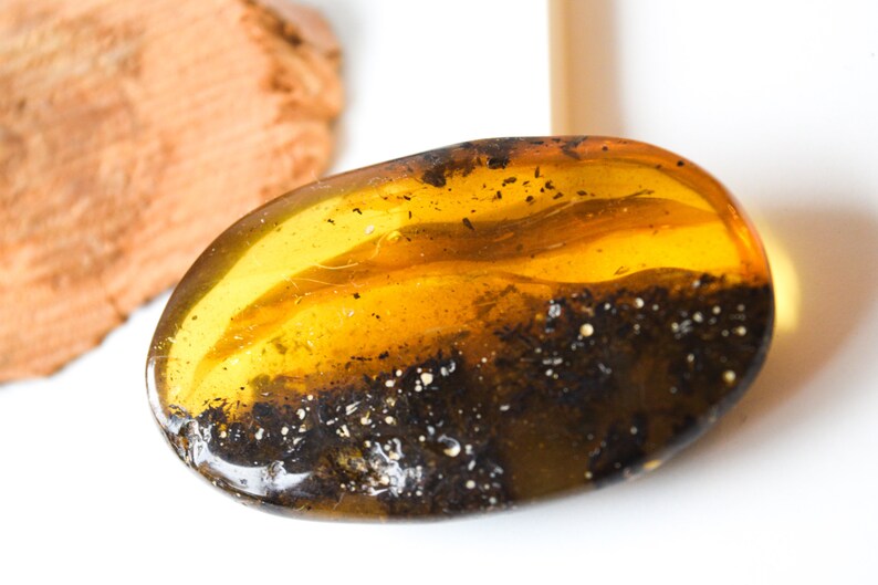 Large Amber Stone Collectors Specimen Amber Stone for - Etsy