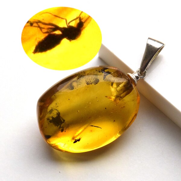 Amber Pendant - Etsy