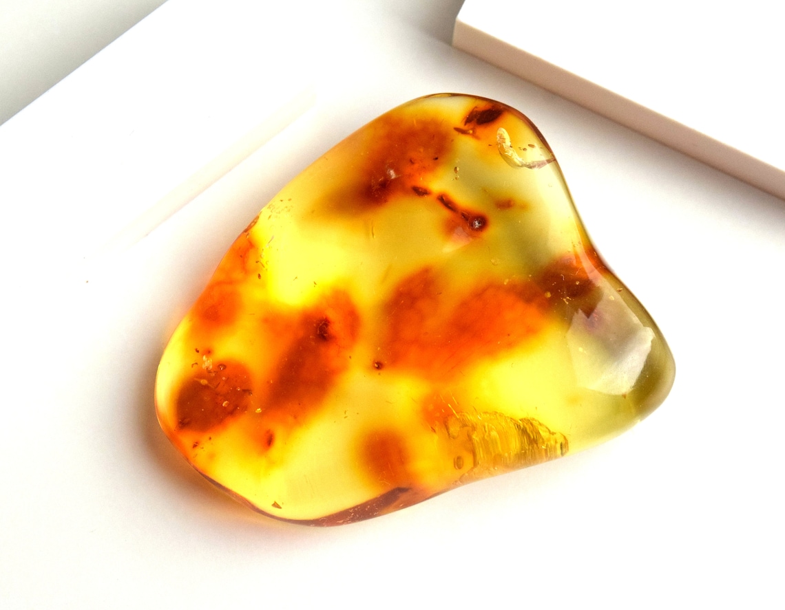 Large Natural AmberCollectors Specimen Amber for Display | Etsy