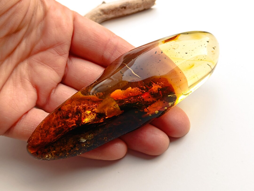 48 Gr Unique Large Amber Stone for Collectors, Natural Amber Stone ...