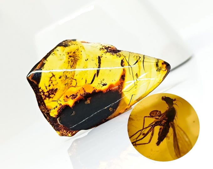 Großer Bernstein mit Insekteneinschluss, baltischer Bernstein mit ...
