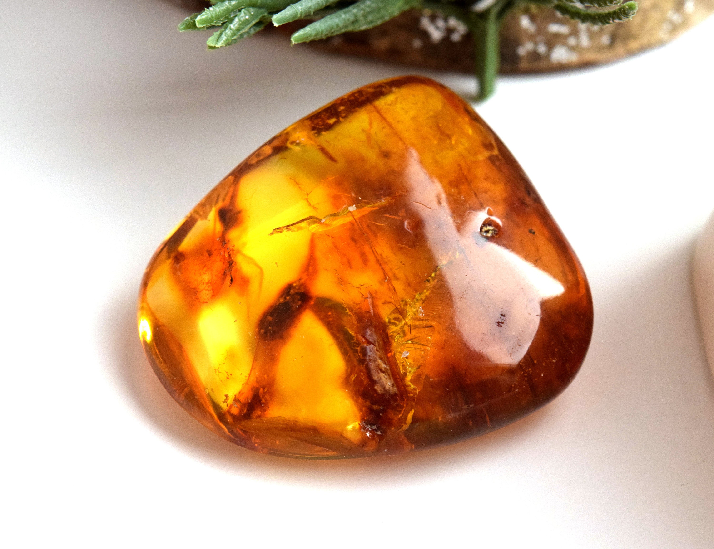 Baltic Amber StoneHealing Crystal and Stone Mythology Amber | Etsy