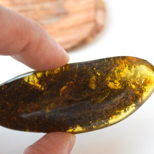 Large Amber Stone, Collectors Specimen, Amber Stone for Display ...