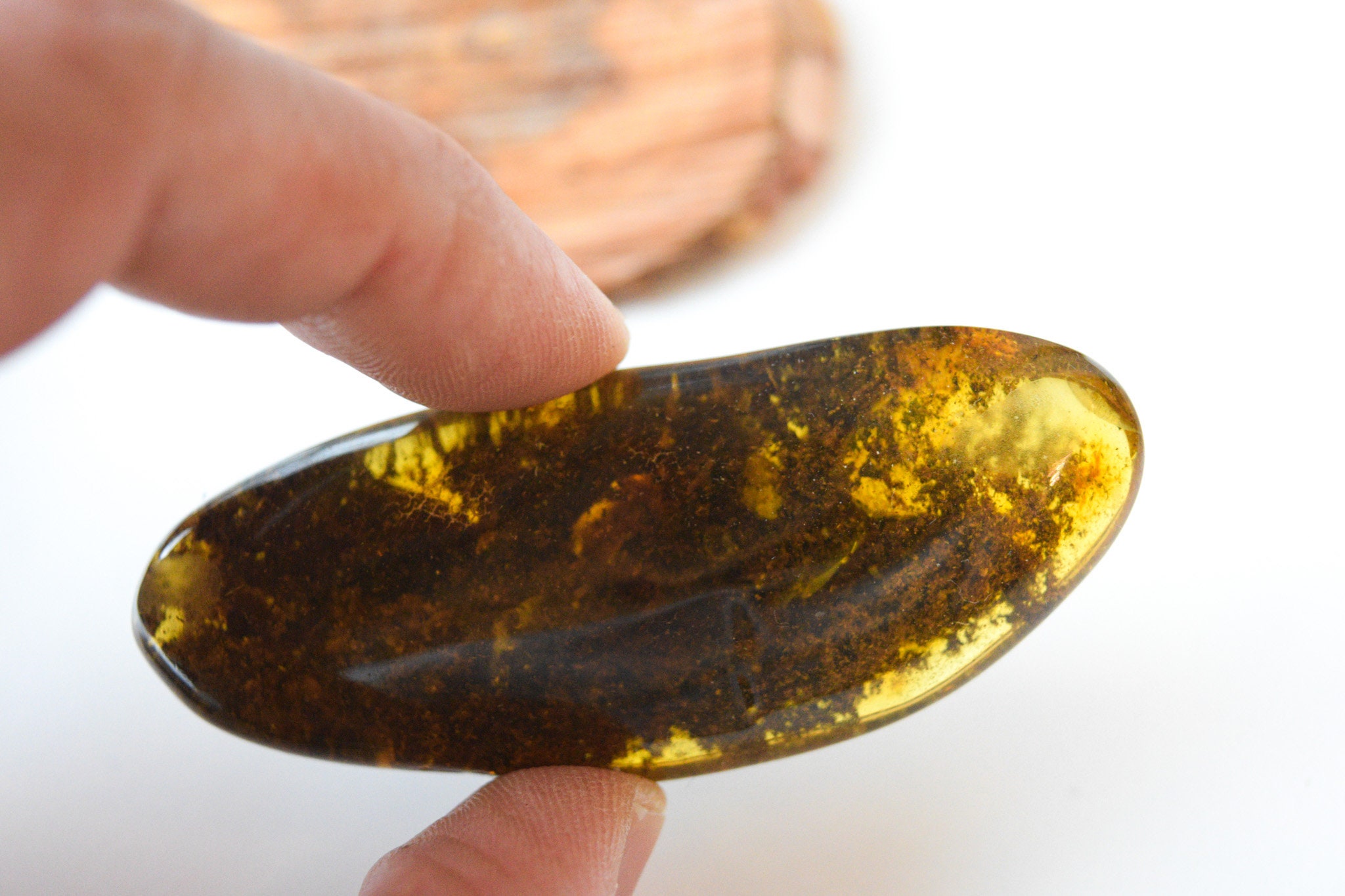 Large Amber Stone Collectors Specimen Amber Stone for - Etsy