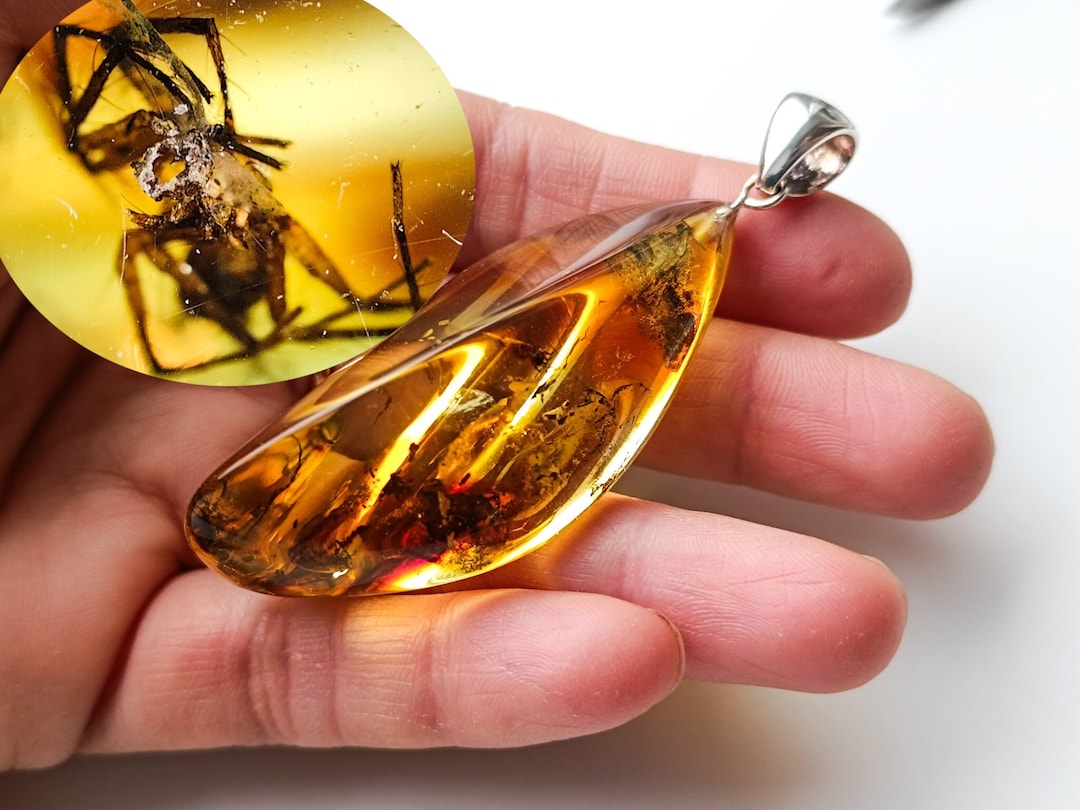 Massive Elegant Amber With Insect Inclusion & 925 Silver, Collectors ...