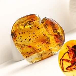43gr Large Natural Heart Shape Amber Stone With Spider Inclusion ...