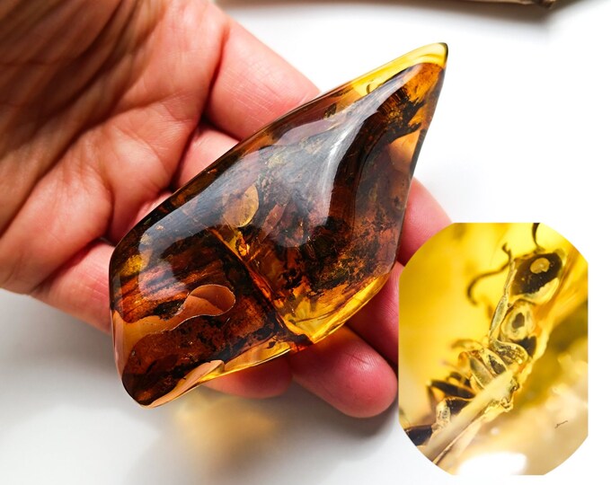 48gr Massive Natural Amber Stone With Insect, Collectors Amber Specimen ...