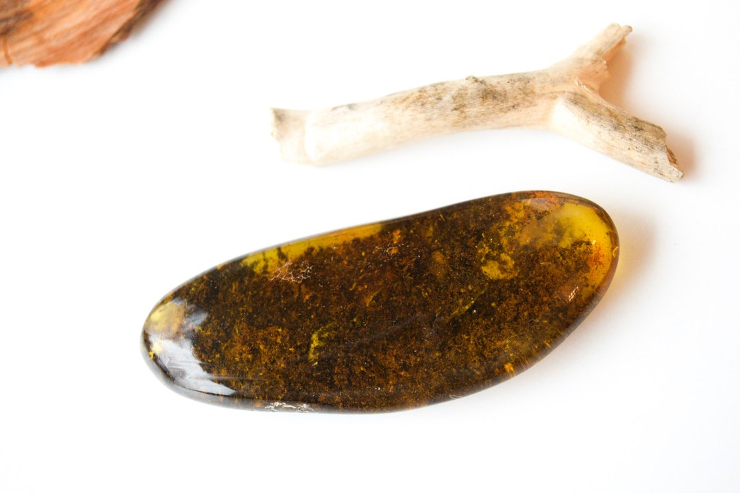 Large Amber Stone, Collectors Specimen, Amber Stone for Display ...