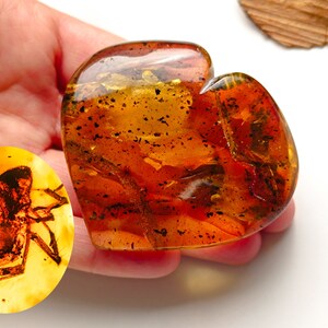 43gr Large Natural Heart Shape Amber Stone With Spider Inclusion ...