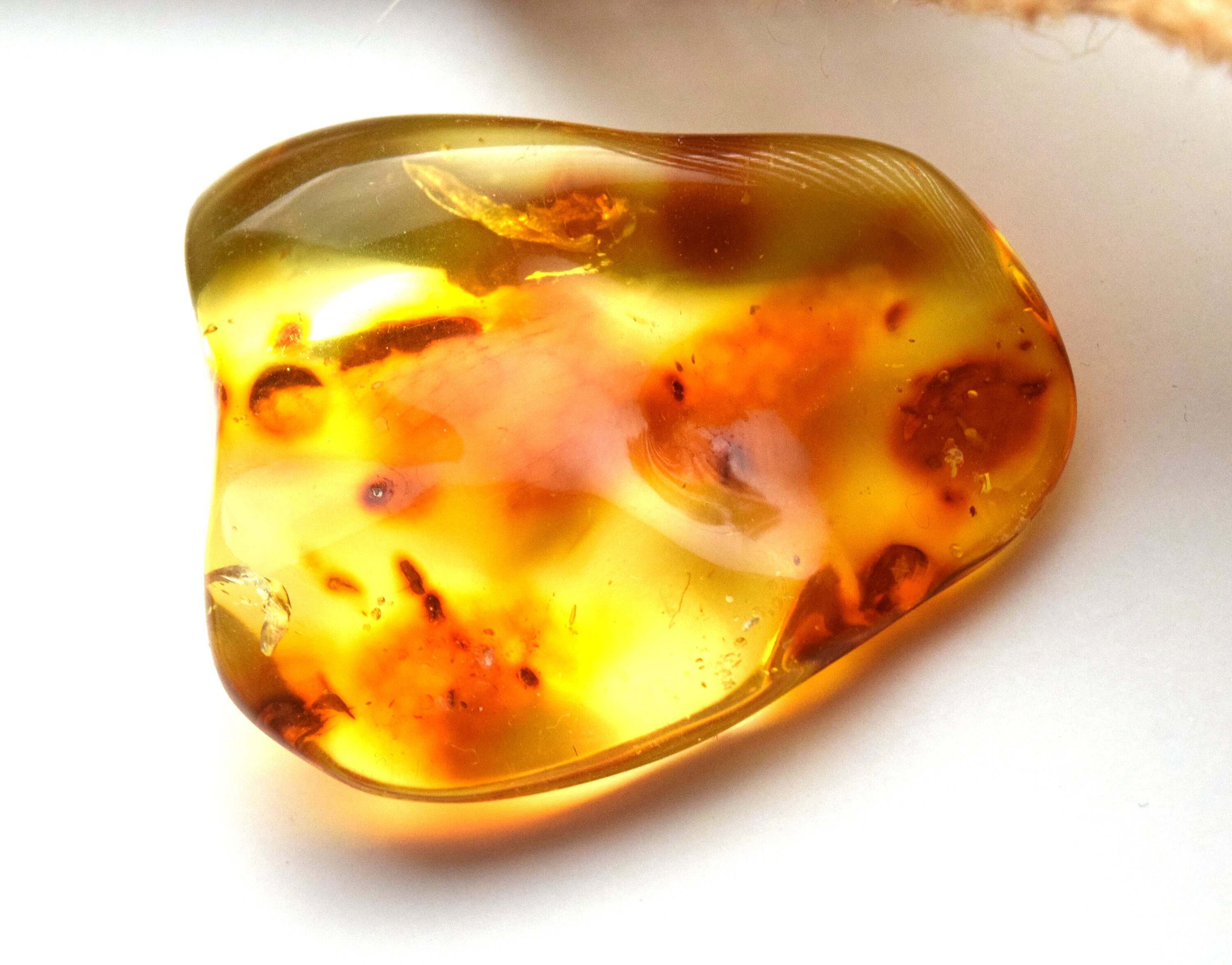 Large Natural AmberCollectors Specimen Amber for Display | Etsy