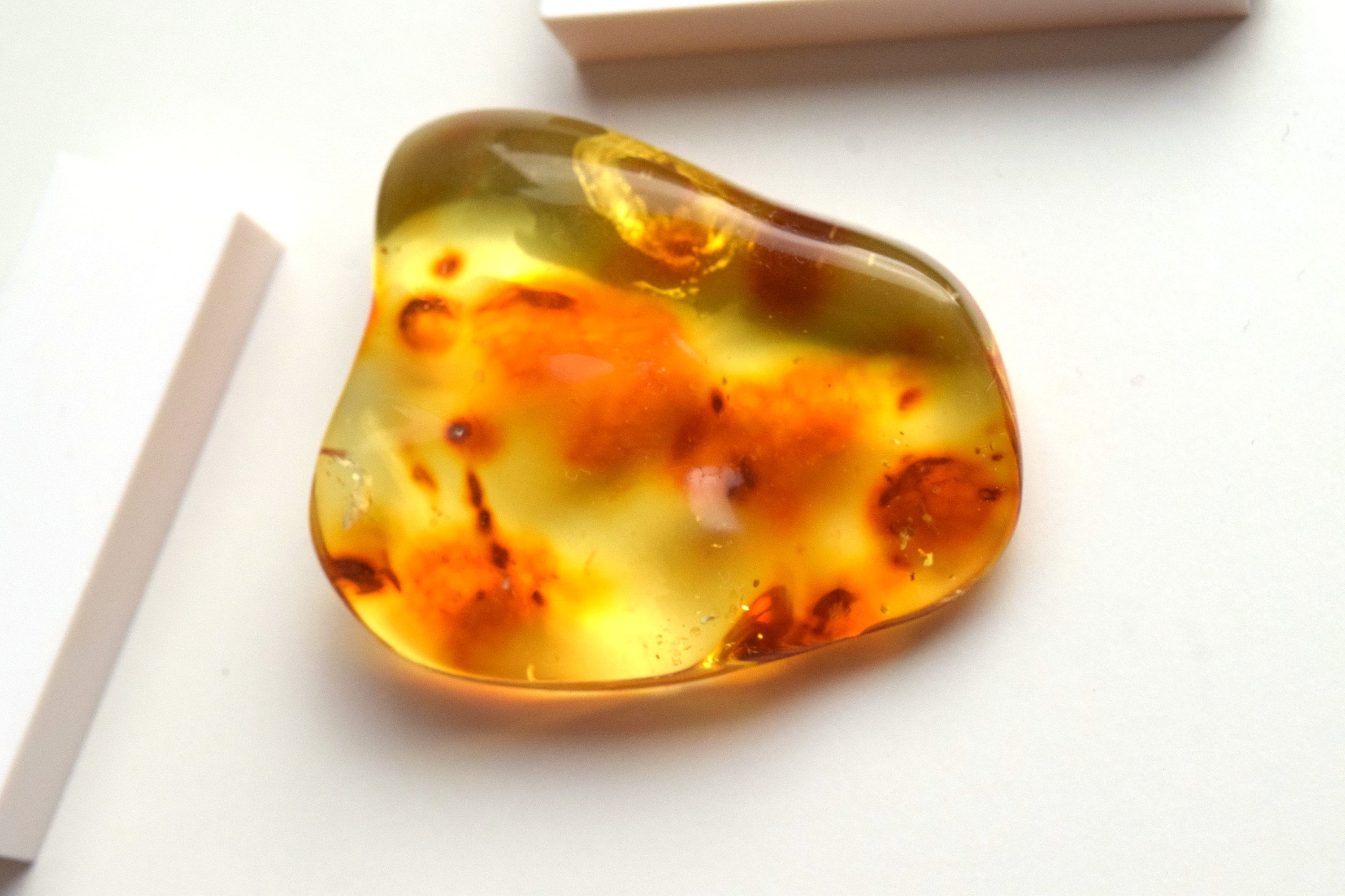 Large Natural AmberCollectors Specimen Amber for Display | Etsy