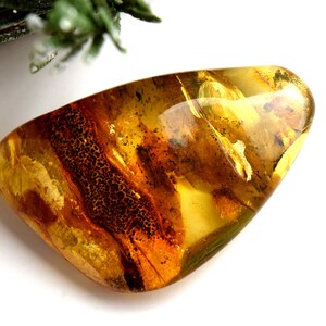 Genuine Amber StoneCollector's PieceNatural Baltic Amber | Etsy