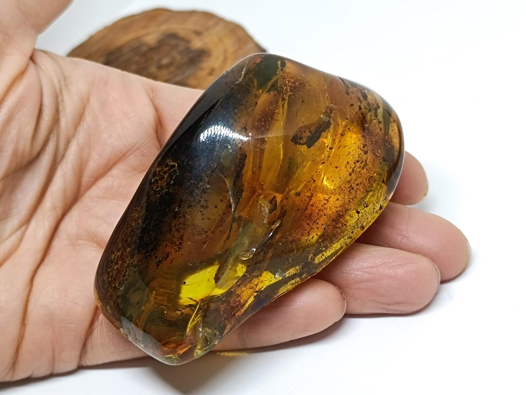 Large Natural Amber Stone, Collector's Gemstone Decor (67gr) - Etsy