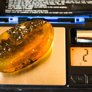 Large Amber Stone Collectors Specimen Amber Stone for - Etsy