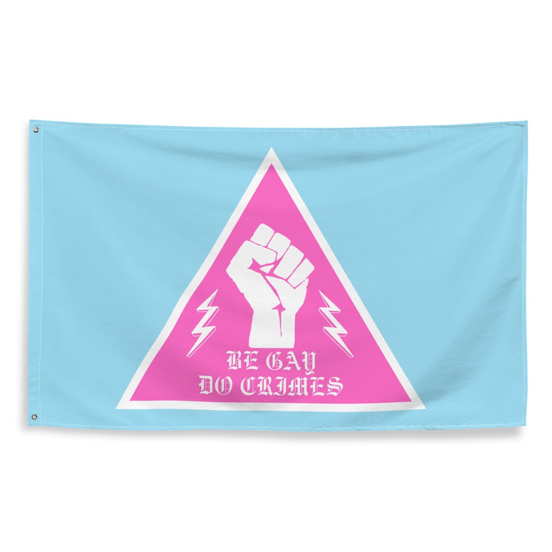 LGBTQ Be Gay Do Crimes Pink Triangle Fist Pride Flag - Etsy