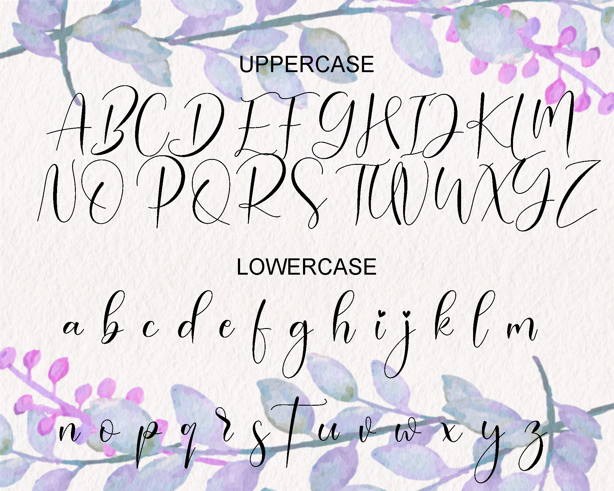 Sophie Script Font, Calligraphy Font, Heart Font, Font With Tails ...