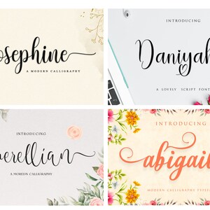 The Special Swashes Font Bundle 75+ Fonts Bundle Collection With Tails ...