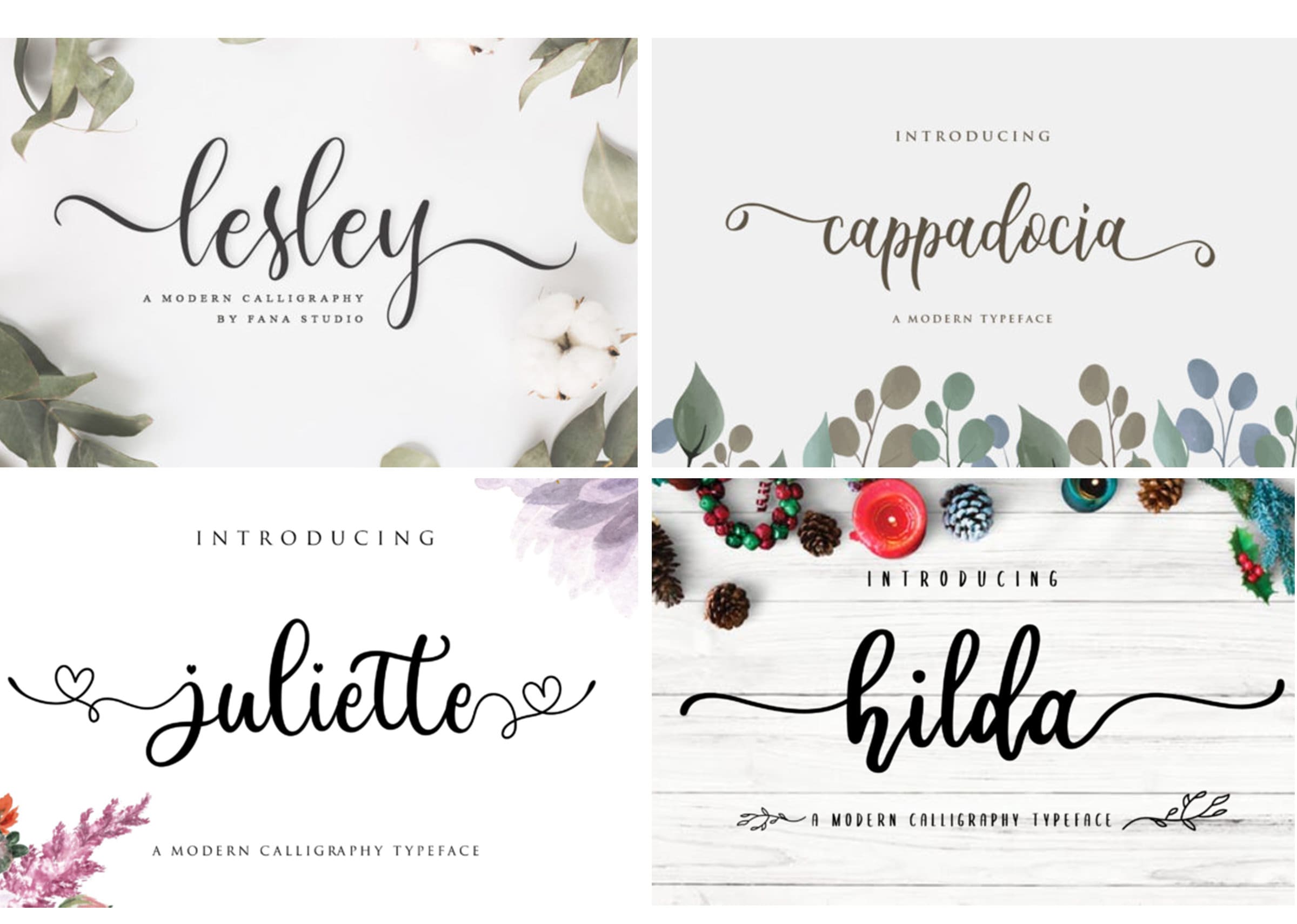 The Special Swashes Font Bundle 75+ Fonts Bundle Collection With Tails ...