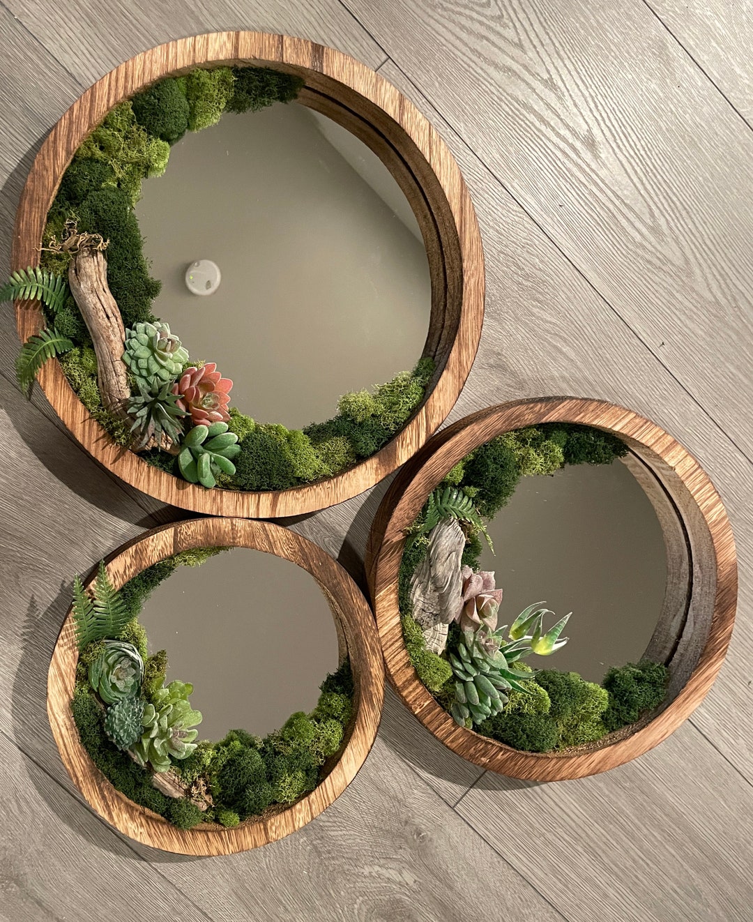 Moss Wall Mirror - Etsy