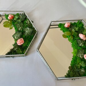 Moss Wall Mirror - Etsy