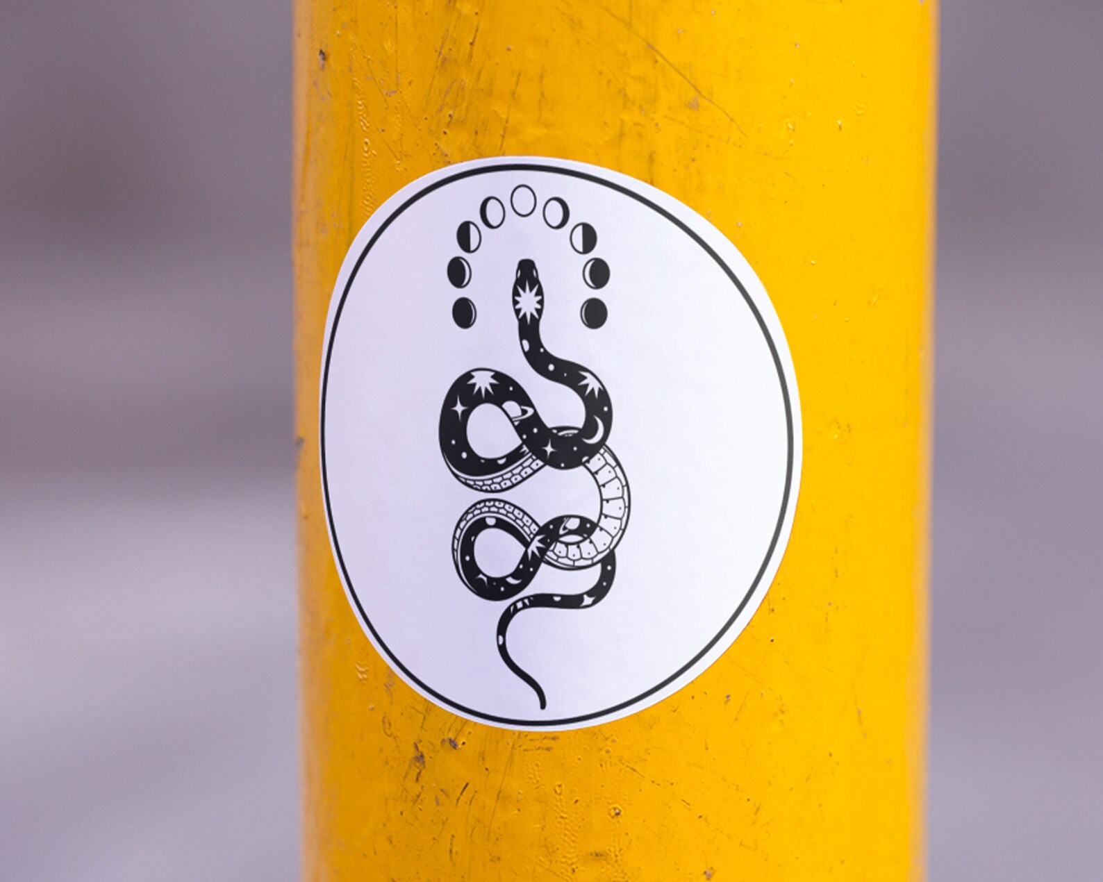 Boho Celestial Snake Phases of the Moon Hippie Mystical Snake Sticker ...