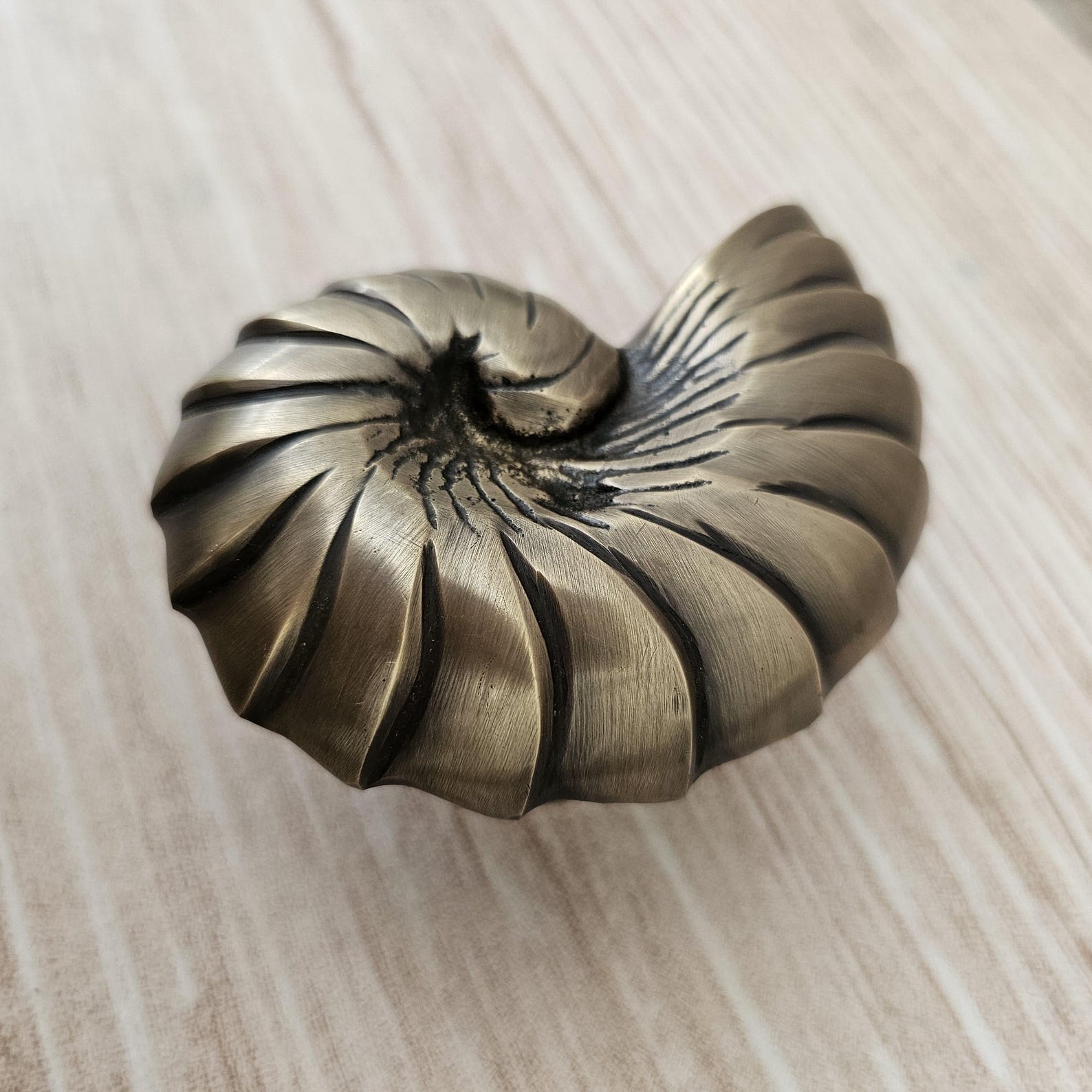 Pair of Vintage Nautilus Shellfish Curtain Tie Backs Shell Holdback ...
