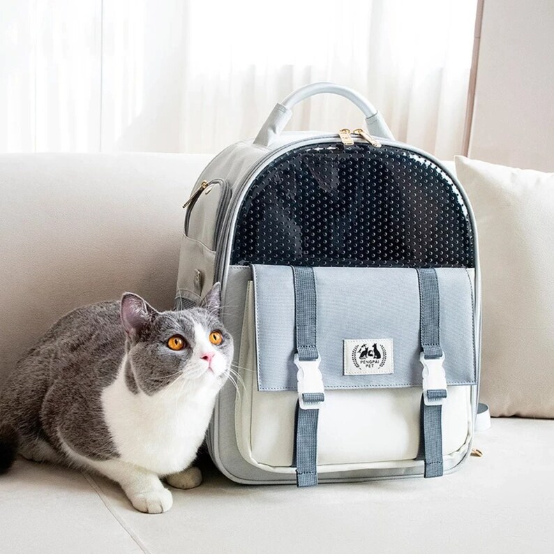 Canvas Cat Pet Backpack Carrier Dog Carrier Summer Cat - Etsy