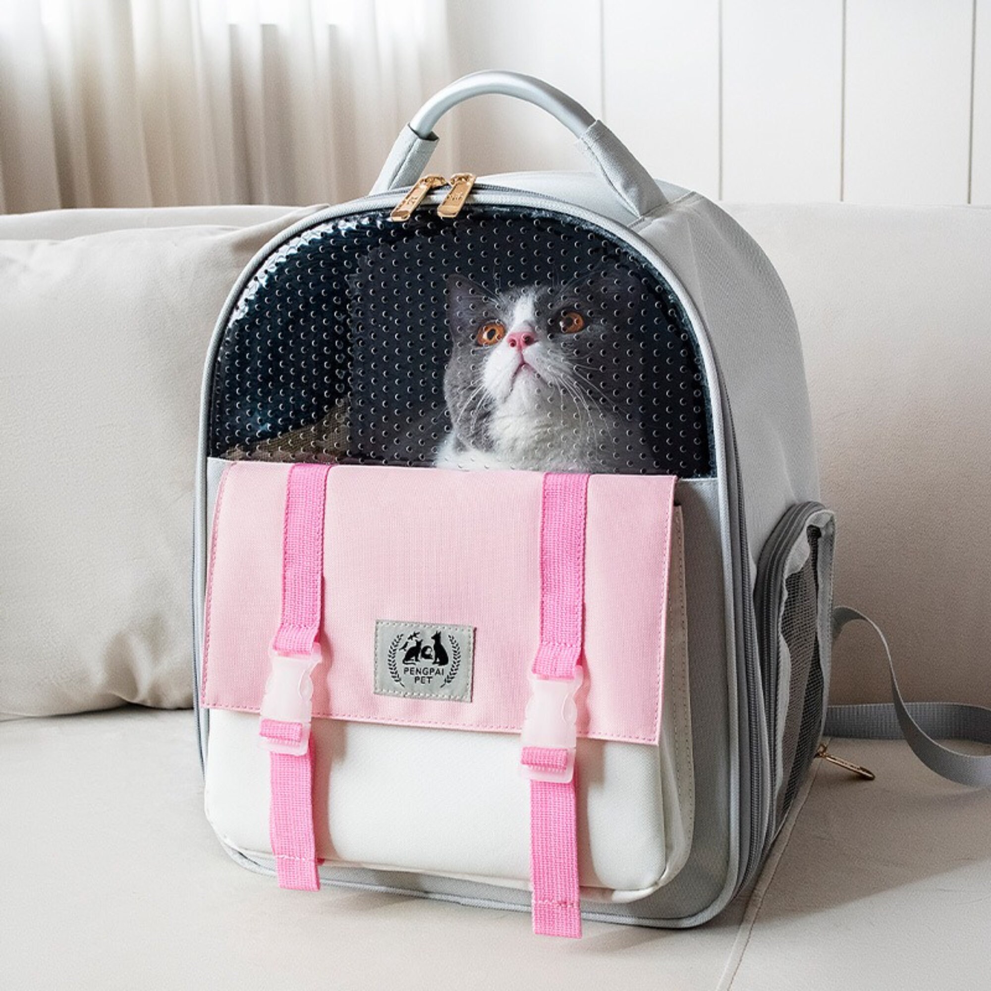 Canvas Cat Pet Backpack Carrier Dog Carrier Summer Cat - Etsy