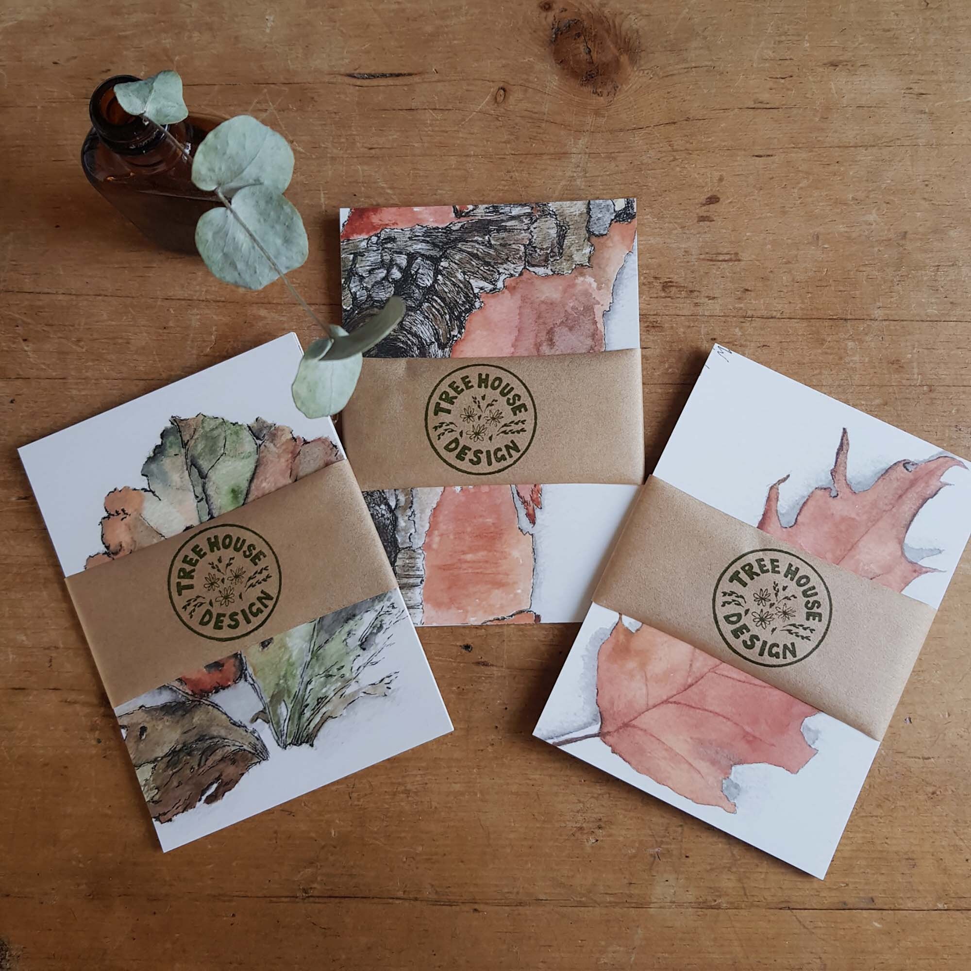 Nature Inspired - Pack of 5 Postcards, Leaves, Bark, Hydrangea, Pussy ...