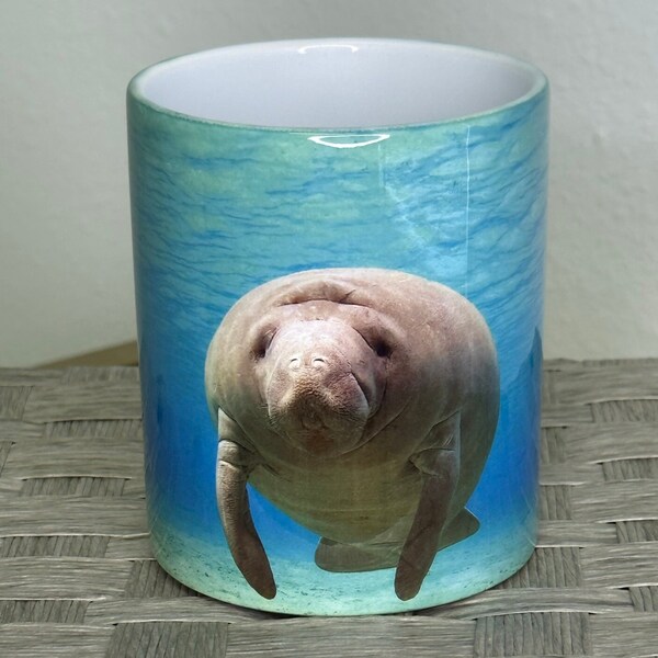 Manatee Gifts - 60+ Gift Ideas for 2025