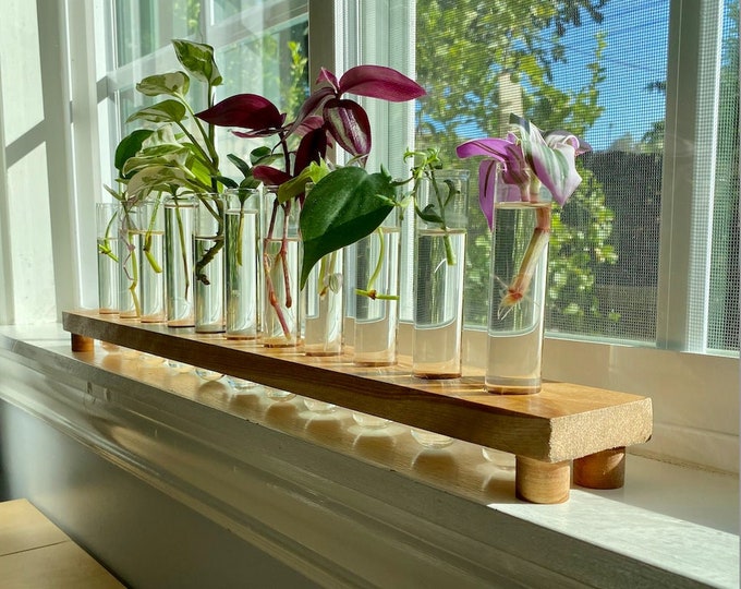 Large Wood Propagation Station- 11 Test Tube Propagation Station- Plant ...