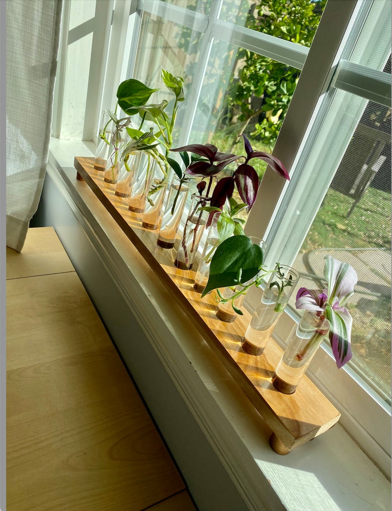 Large Wood Propagation Station 11 Test Tube Propagation - Etsy