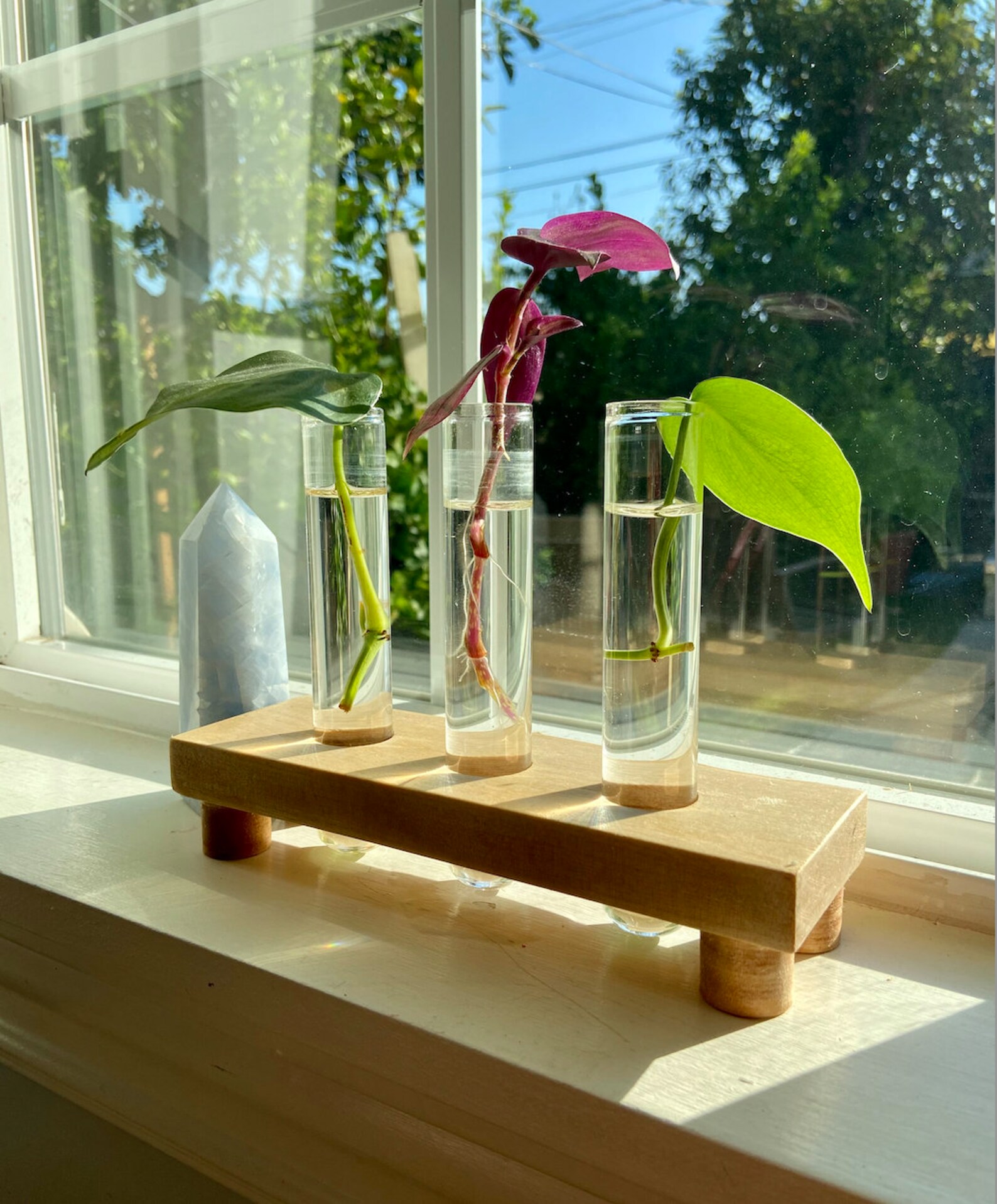 Test Tube Propagation Station Small Propagation Station - Etsy