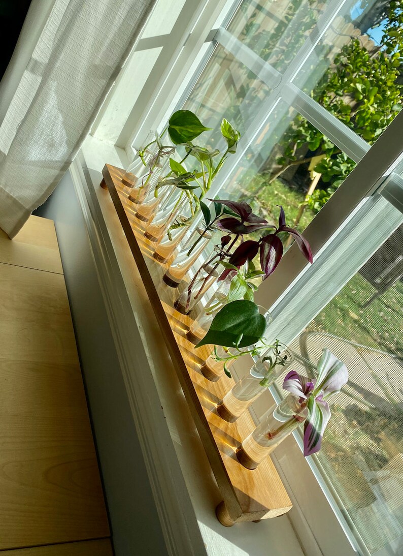 Large Wood Propagation Station 11 Test Tube Propagation - Etsy