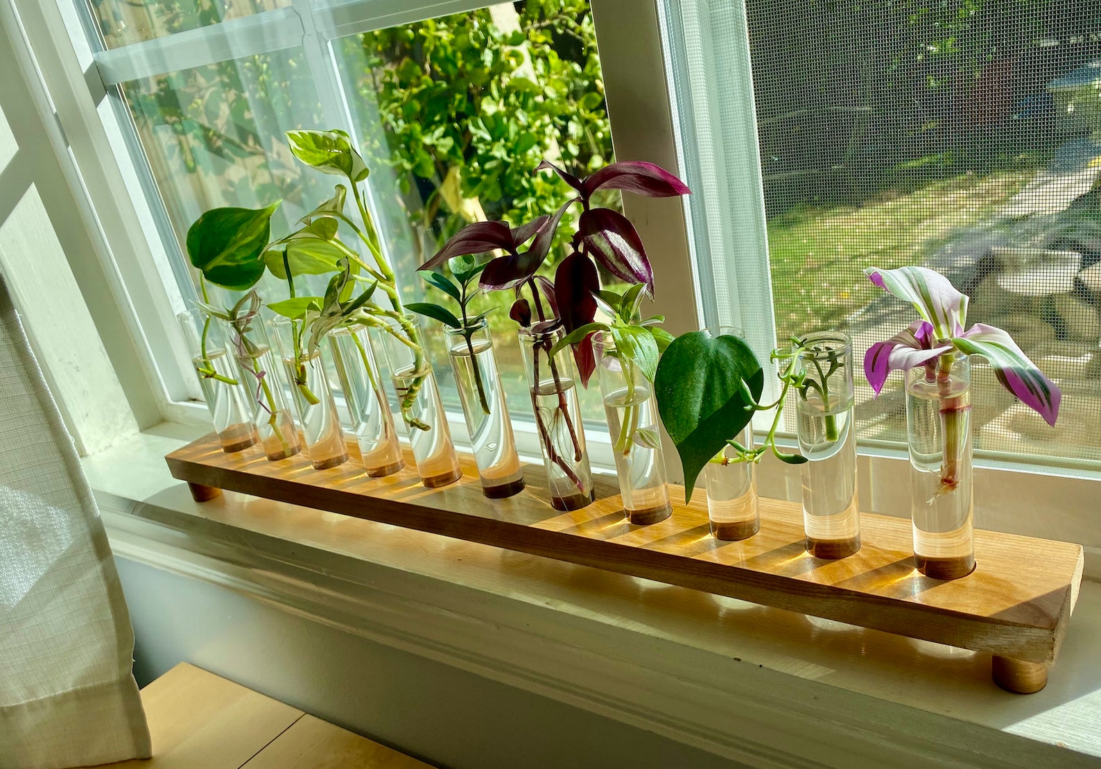 Large Wood Propagation Station 11 Test Tube Propagation - Etsy