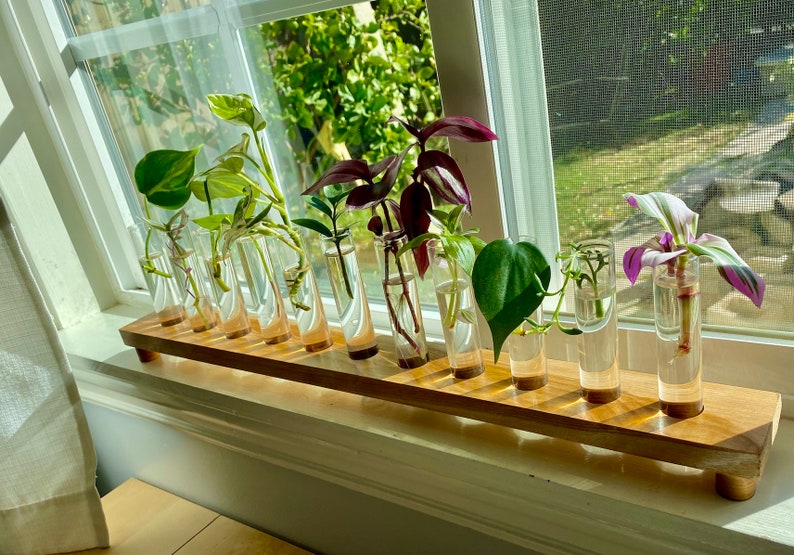 Large Wood Propagation Station 11 Test Tube Propagation - Etsy