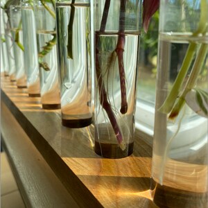 Large Wood Propagation Station 11 Test Tube Propagation - Etsy