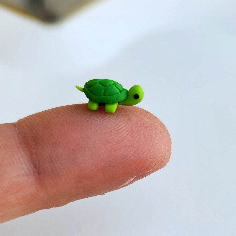 Miniature Turtles - Etsy