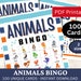 100 Animals Bingo Game Card, Fauna Theme Party Activity for Classroom ...