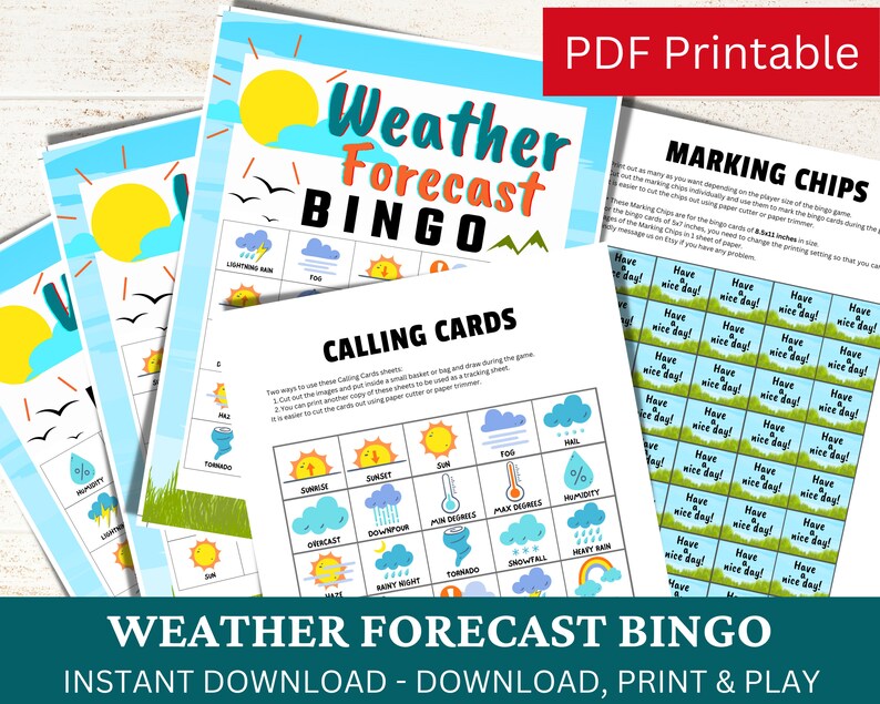 20 Weather Forecast Bingo Game Card, Meteorology Theme Activity, Fun ...