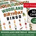 50 Woodland Animals Birthday Coloring Bingo Game Card, Forest Theme ...