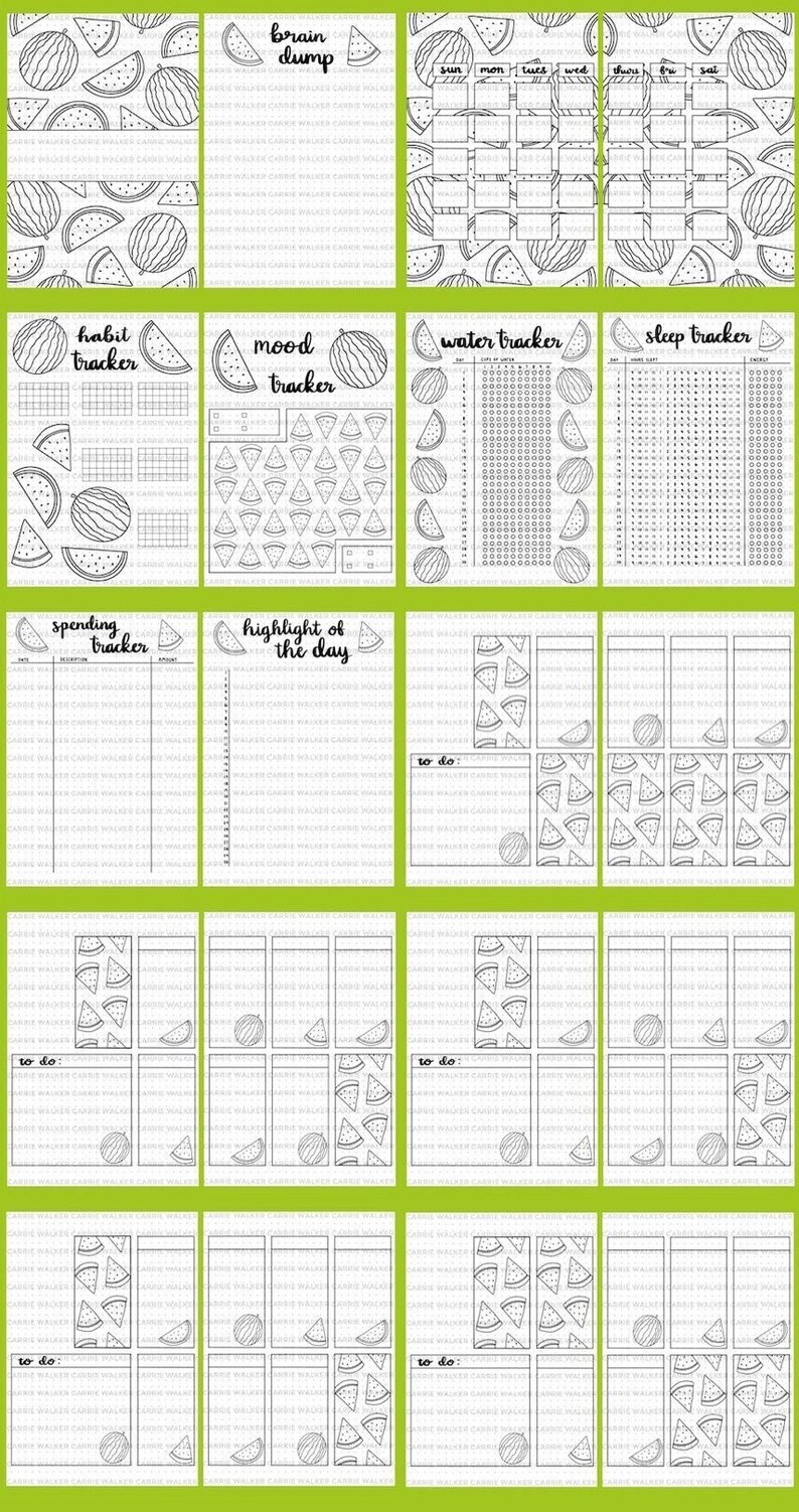 No Color BLANK Watermelon Themed Bullet Journal Spreads PDF - Etsy